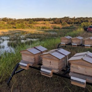 Two Hive Stand | Metal Bee Hive Stand | US Patent Protected