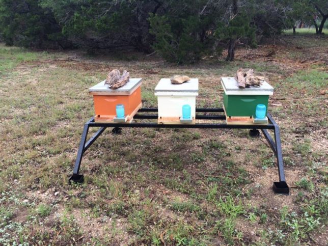 Three Hive Stand | Metal Bee Hive stand | Ant Proof Bee Hive Stand