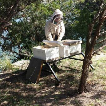 Two Hive Stand | Metal Bee Hive Stand | US Patent Protected