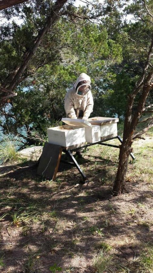 Two Hive Stand | Metal Bee Hive Stand | US Patent Protected